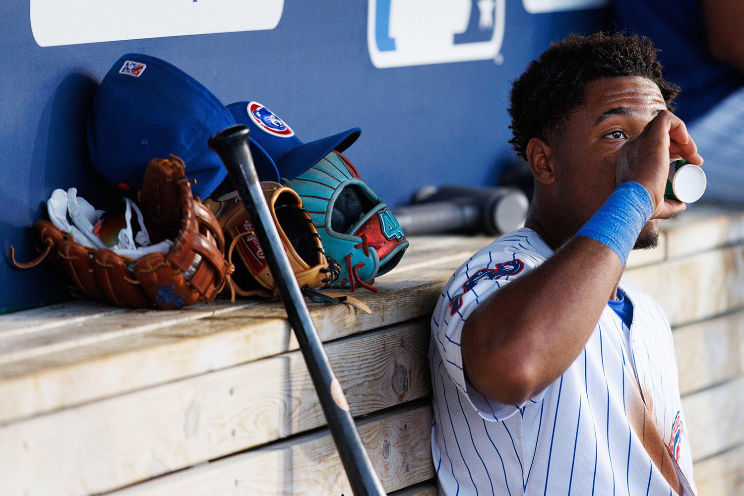 Cubs Minor League Weekend in Review: Jefferson Rojas is Really That ...