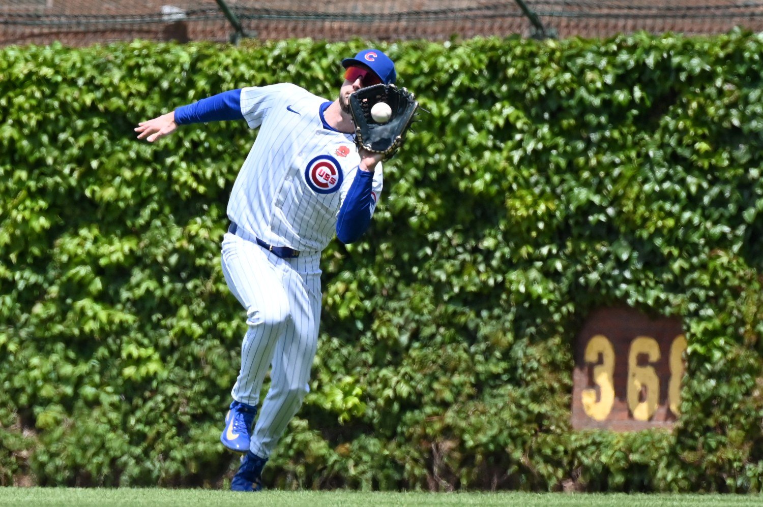 Q Scores: Quintin Berry Has 2025 Cubs Making the Most of Great Outfield ...